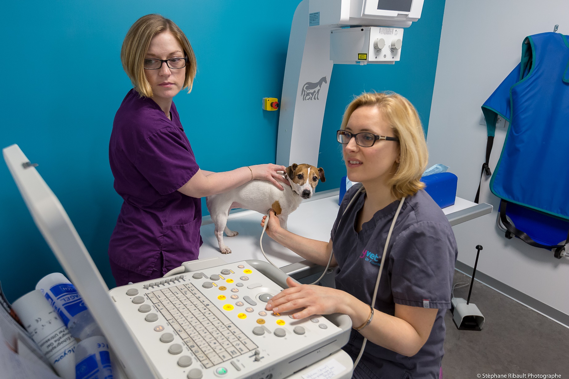 Imagerie - Myvet